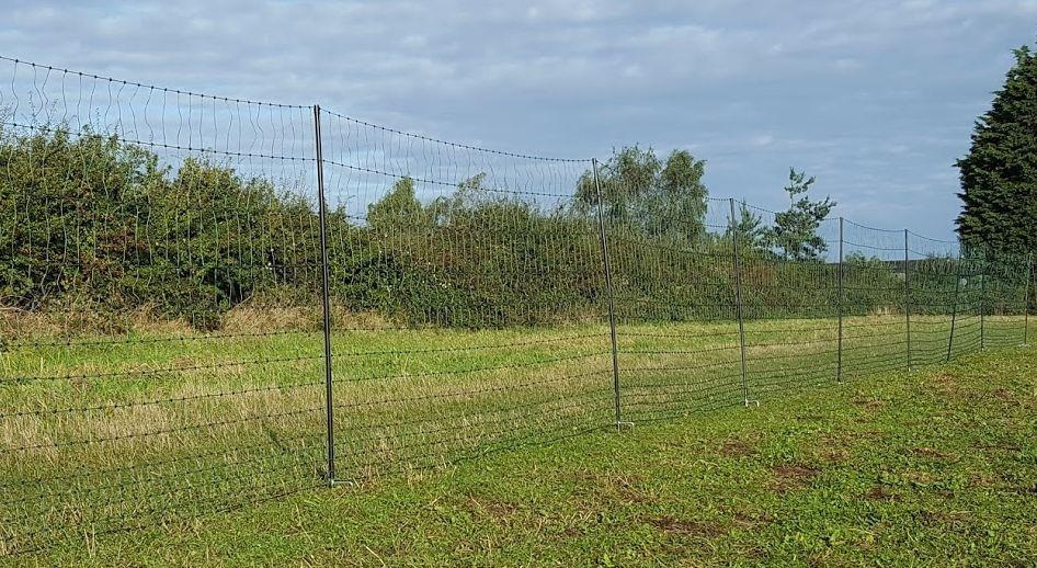 Tallest Ultimate Fox Proof Chicken Net. - Agrisellex UK