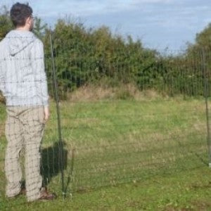Tallest Ultimate Fox Proof Chicken Net. - Agrisellex UK