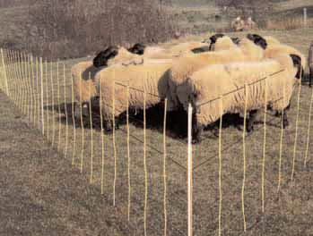 Livestok Electric Sheep Netting - Agrisellex UK